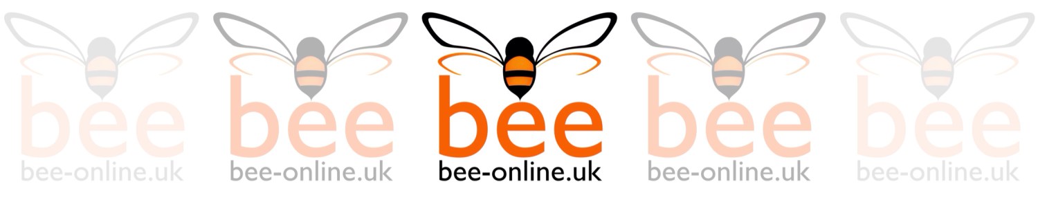 Effective line management in schools – bee | Bromley Education Enterprises Limited